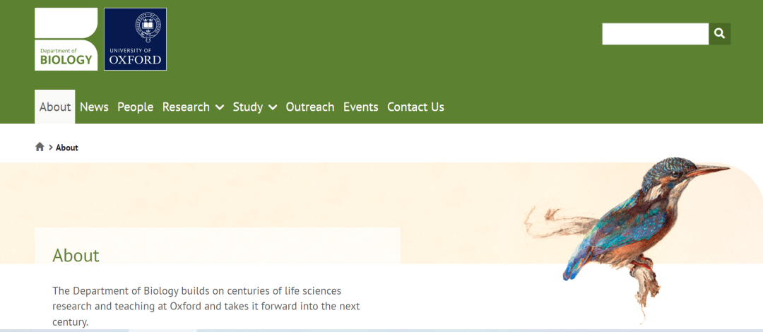 2024fall必看！英国G5院校本科新专业扎堆来袭！A-Level多少分可冲？_要求_生物_科学