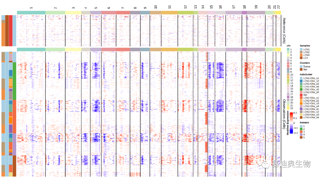 单细胞CNV分析内容及应用思路_变异_基因_克隆