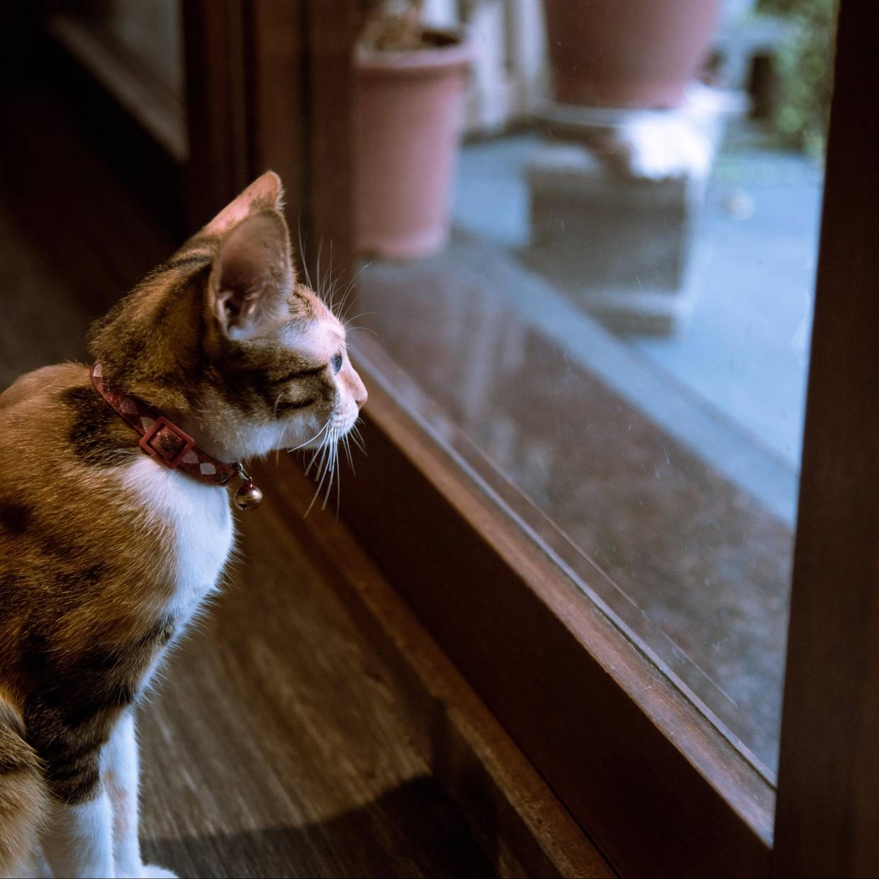 2026年谁能躺着把钱赚了？这5个星座财运太吓人，尤其是第1名，拦都拦不住_木星_黄金期_时间