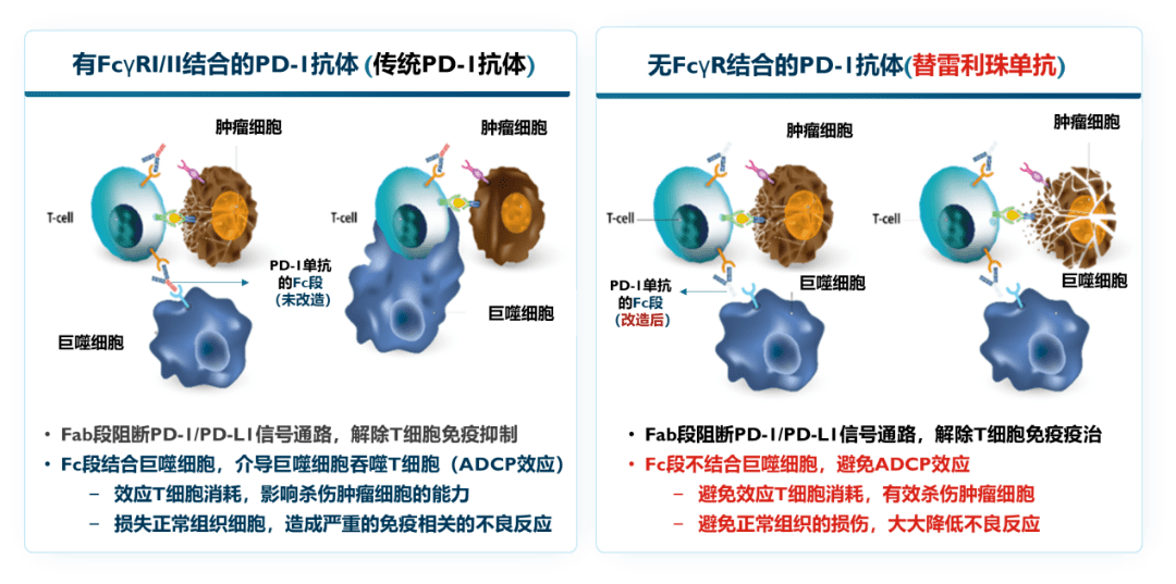 张力教授/方文峰教授团队RATIONALE-309研究荣登国际权威杂志Cancer Cell，中国创新药引领鼻咽癌免疫治疗新时代_化疗_雷利