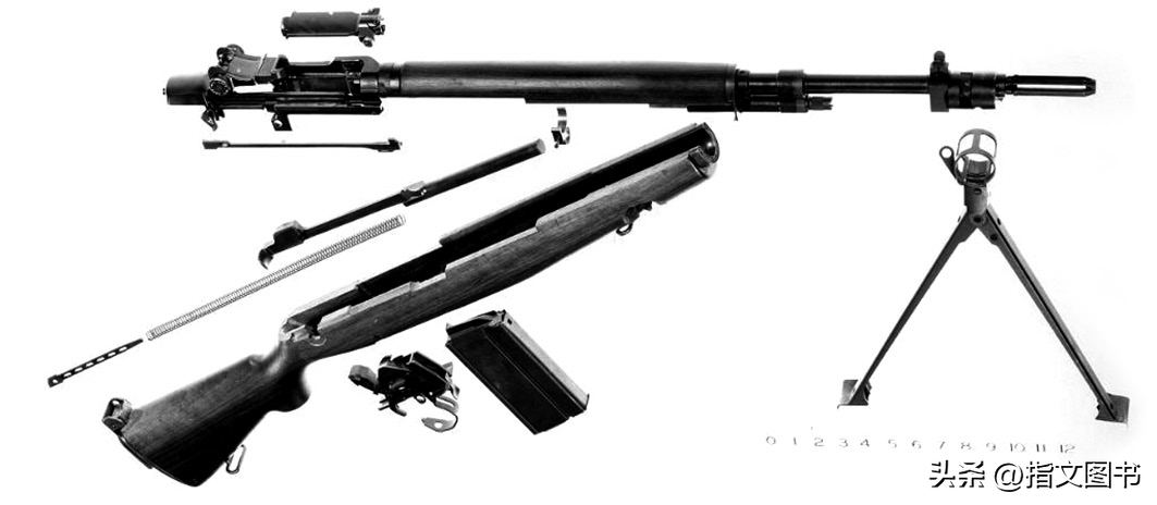 两把烂枪：两款.30口径T44步枪的测试_弹匣_装填_射击