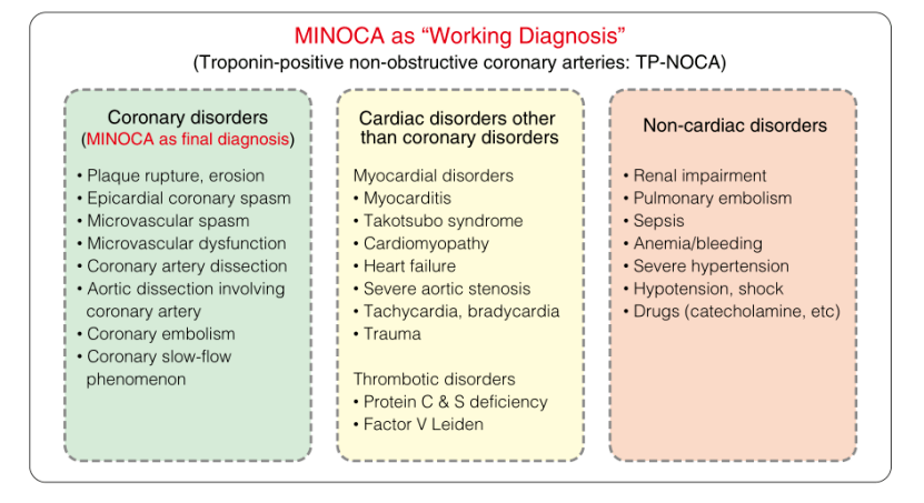 冠脉非阻塞性心梗（MINOCA）仅仅是临时诊断，应进一步查因！日本冠脉痉挛和冠脉微血管功能障碍指南_患者_试验_疾病