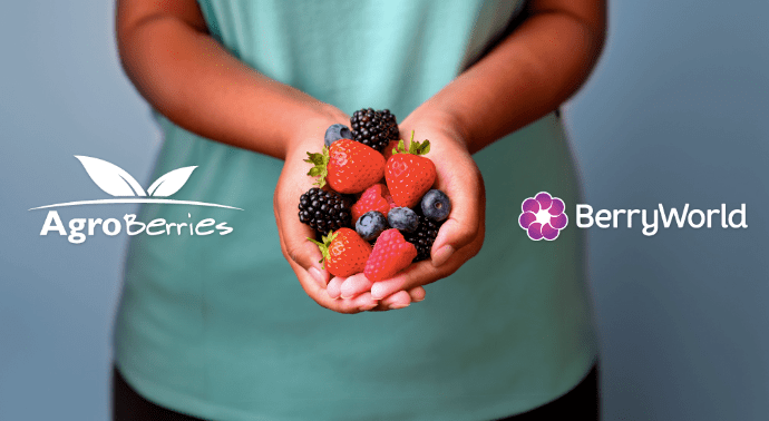 Agroberries acquires minority stake in BerryWorld_and_global_growth