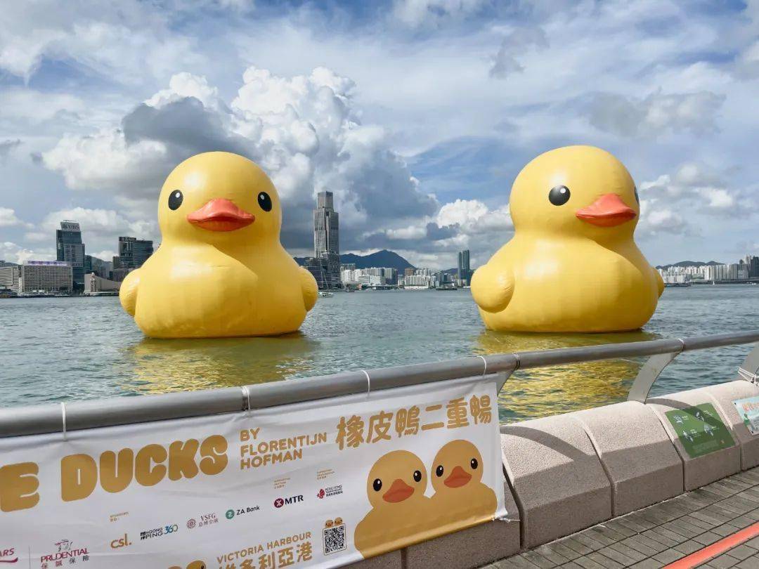 【CLECSS 3304】Double Ducks - 小黄鸭对法律人的启示_工作_广州_Simon