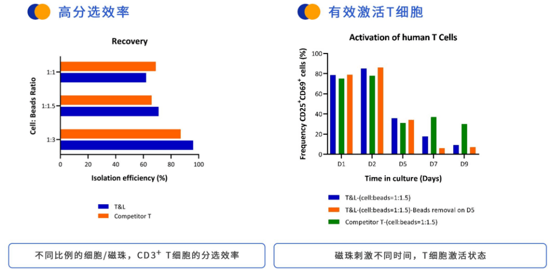 聚焦CGT物料国产化|同立海源多款CGT核心产品获FDA DMF备案_细胞_蛋白_监管