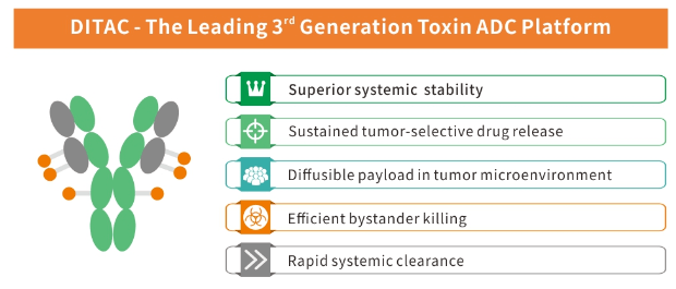 里程碑超 13 亿美元！百济神州引进临床前 ADC 新药独家选择权，来自映恩生物_Insight_管线_开发