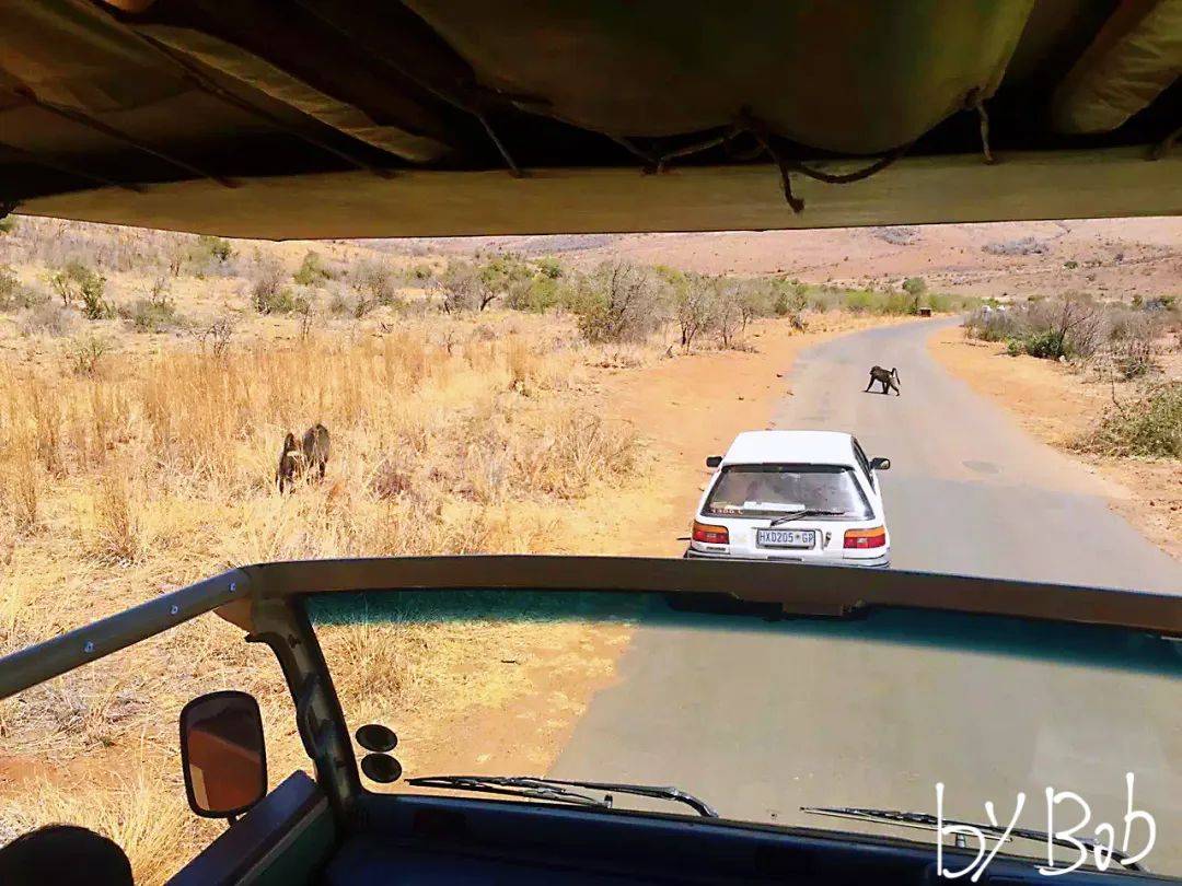 一家VC决定“做小”：裁员精简，Carry平分_投资_基金_行业