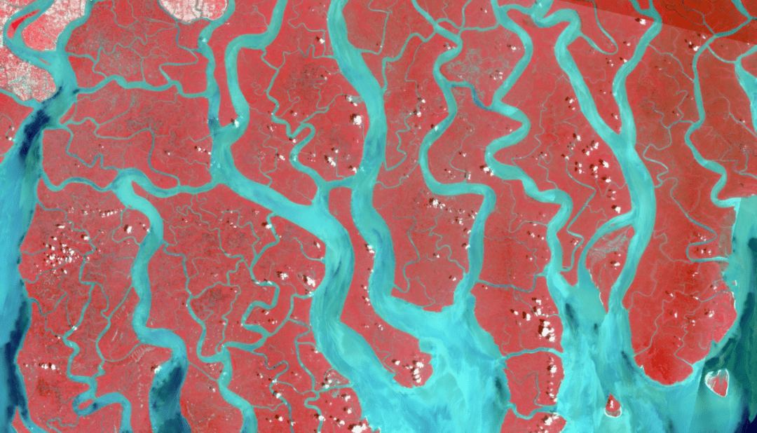 Esri 推出最新的 Landsat Level2 在线影像服务以及浏览器，亲测能用_com_网站_arcgis