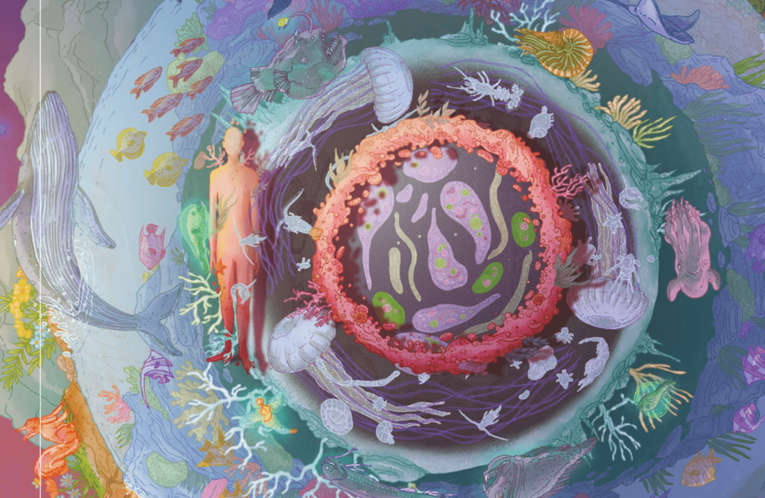 Nature 3篇重磅研究齐发，证实PF4可以使大脑“返老还童”_血小板_认知_细胞因子