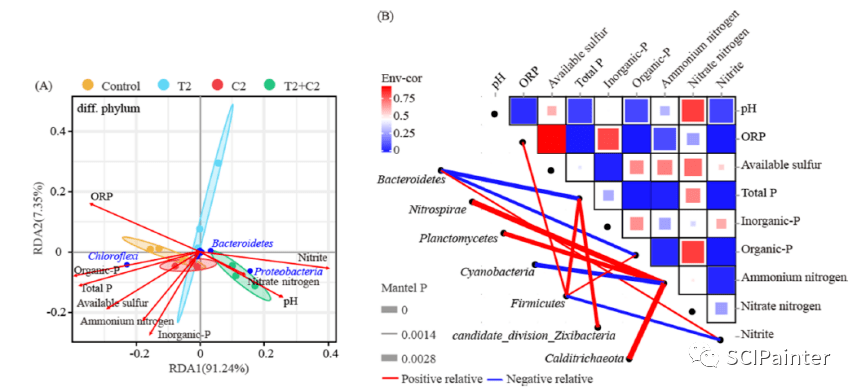 CCA/RDA超易画法，拿下高分文献同款图!_调整_工具_图形