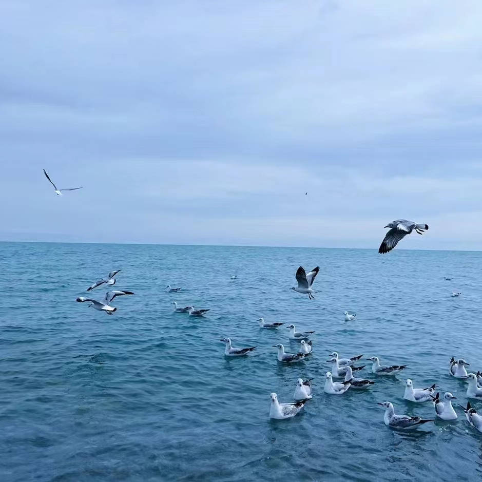 2025年底实测！五大主流AI降重工具横评，它凭这3点登顶首选？_学术_用户_检测