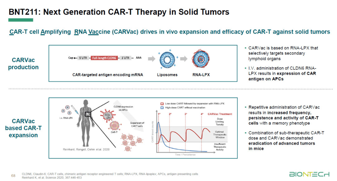 BioNTech：CAR-T+mRNA疫苗治疗实体瘤1/2期数据公布_CARVac_患者_研究