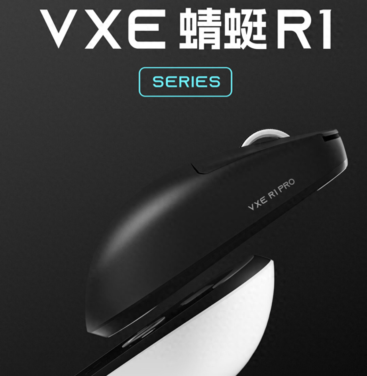 还未开售已引发多方关注，VXE蜻蜓R1 SE仅需69元起？_配置_原相_定价