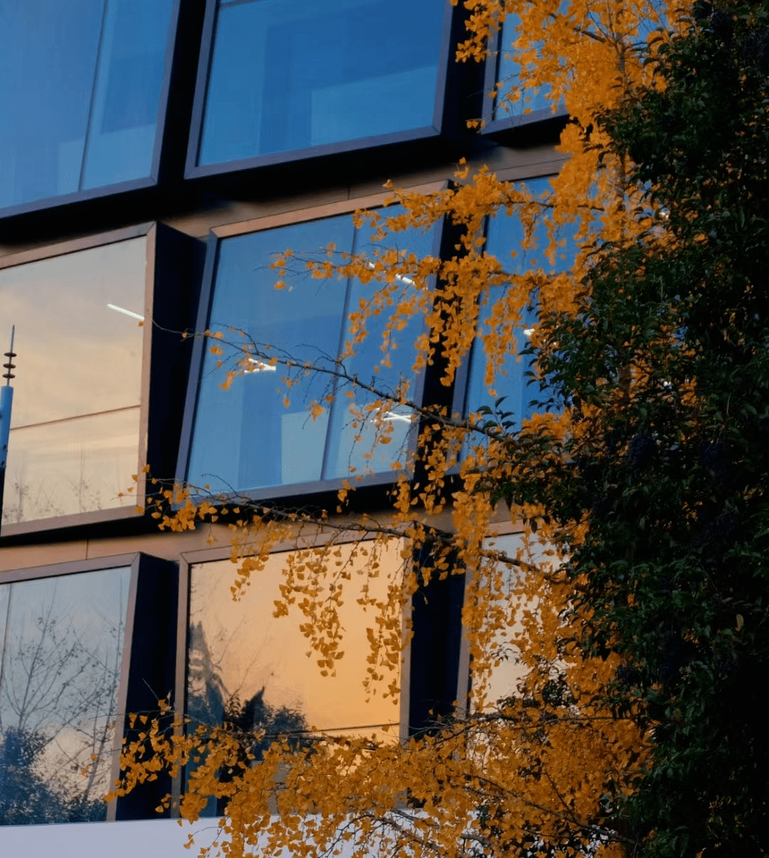 相约深秋 共绘精彩 | Xdea青年社区11月活动新鲜出炉啦_喜剧_创意_内容