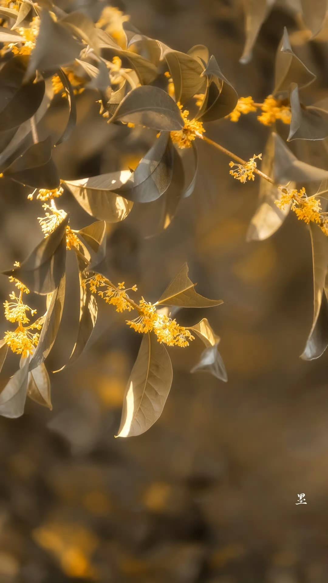 电渗析技术裂变升级！海普三隔室双极膜系统重塑高盐废水资源化路径_回收_应用_离子