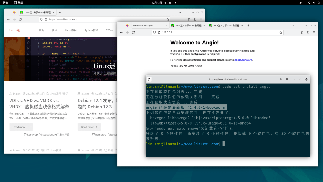 Web 服务器 Angie 新版发布，展现先进功能_Linux_指令_Nginx