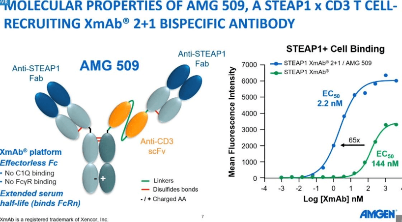 全球首款！安进/百济 CD3/STEAP1 双抗国内启动临床_Insight_细胞_治疗